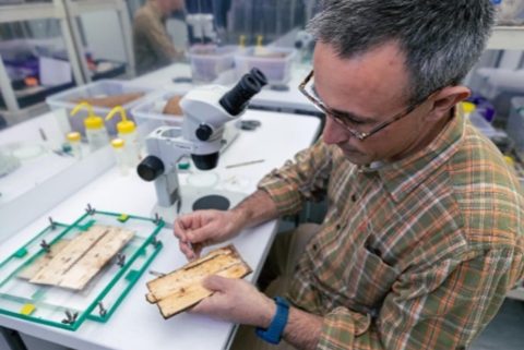 Science & Research - Centre for Forest Protection