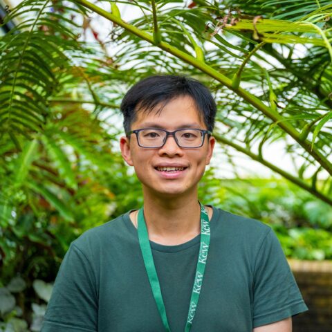 About us - Centre for Forest Protection