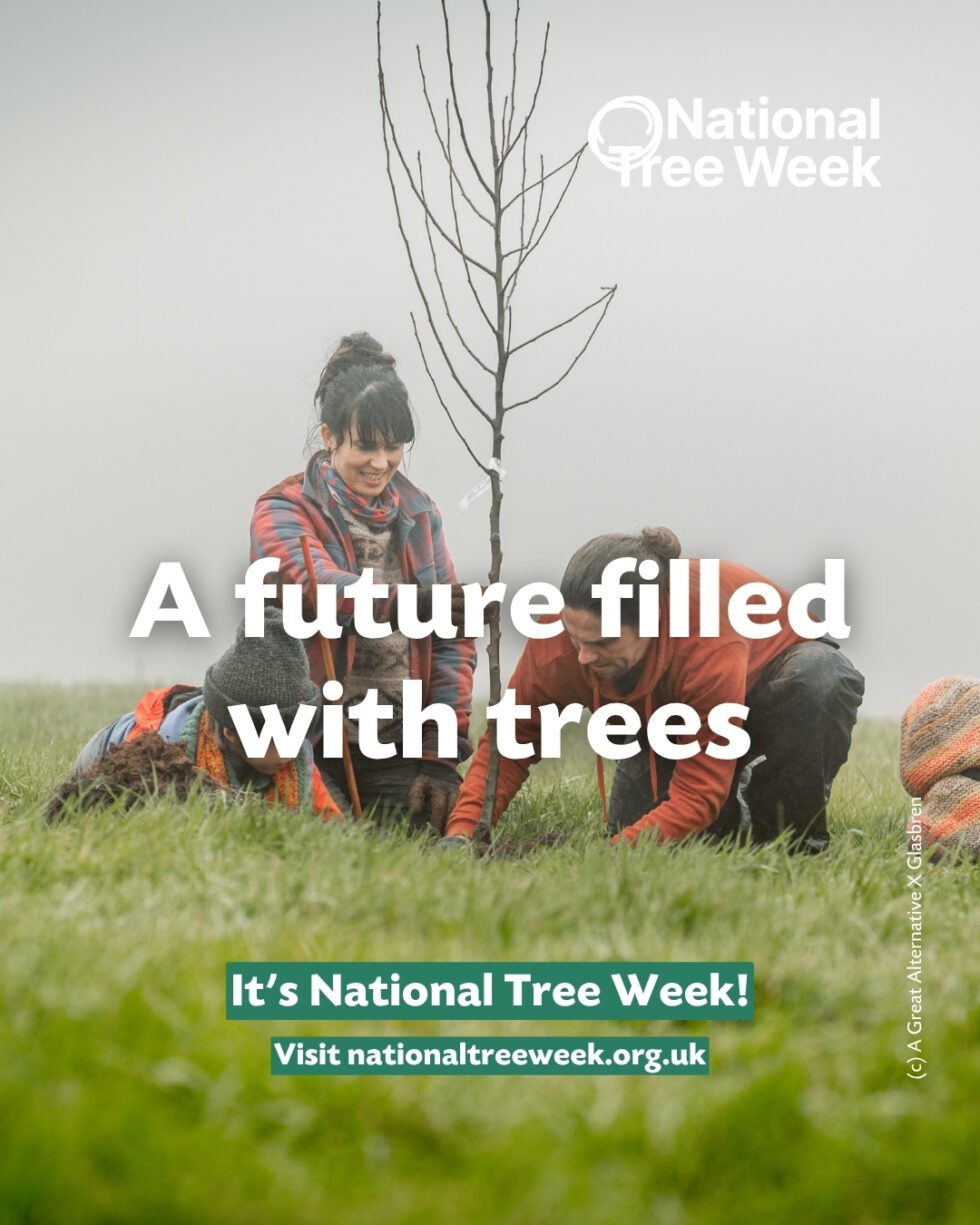 A Future Filled with Trees: National Tree Week celebrates it’s 50th ...